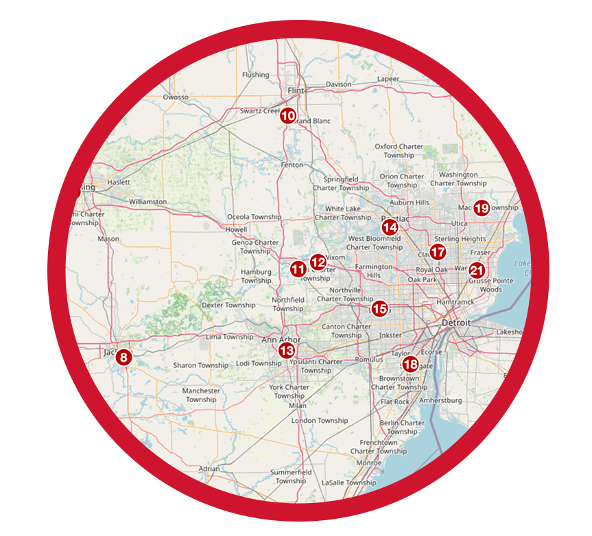 50 Mile Radius Map from Brighton, MI